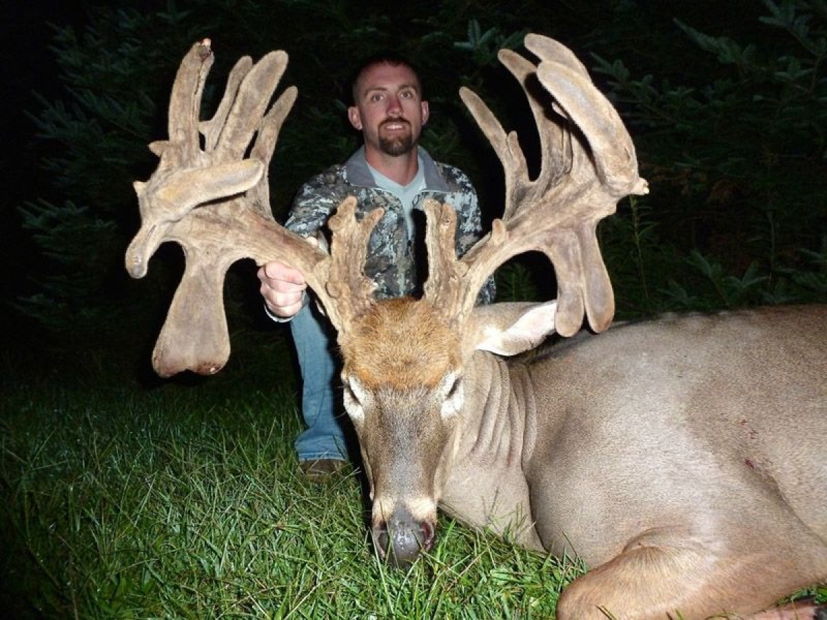 30 Point Whitetail Buck